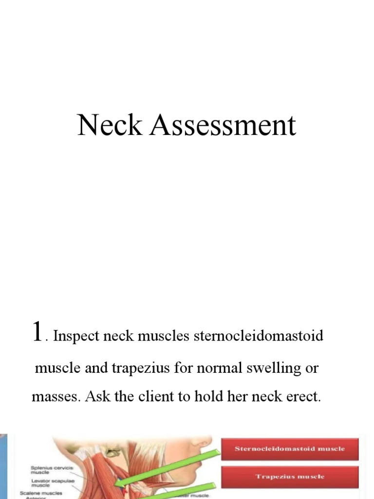 Neck Assessment - WPS Office | PDF | Neck | Nipple