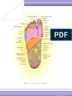 Reflexology Chart | PDF | Abdomen | Lymphatic System
