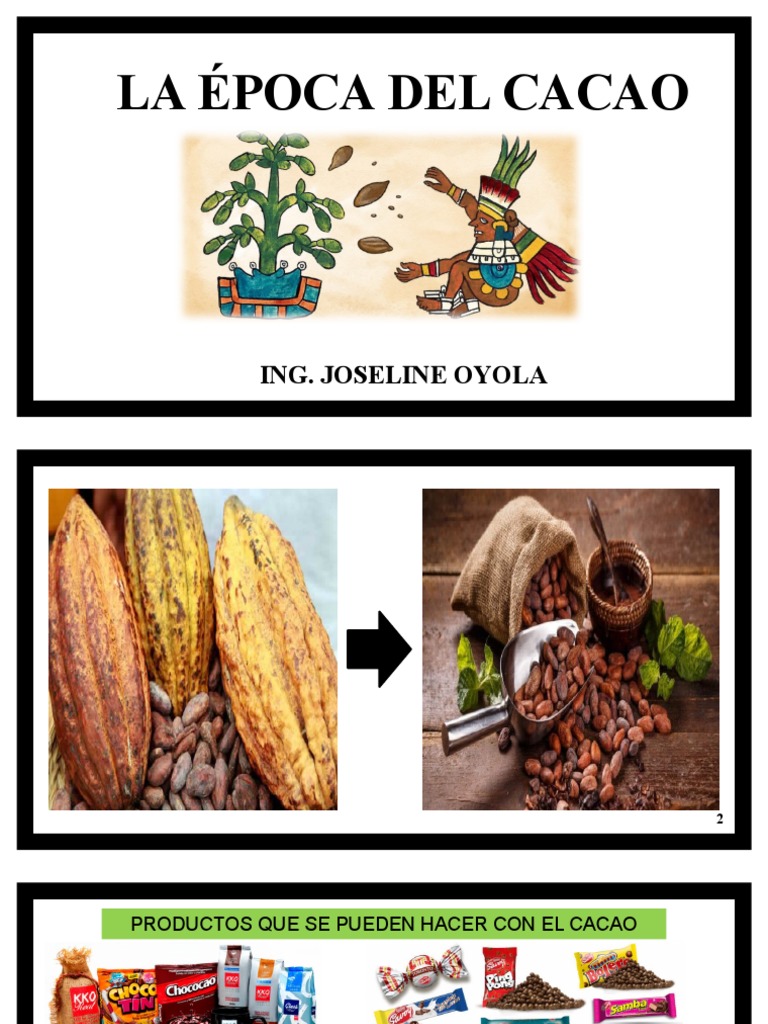 La Época Del Cacao y El Progresismo | PDF | Ecuador | Comida y bebida
