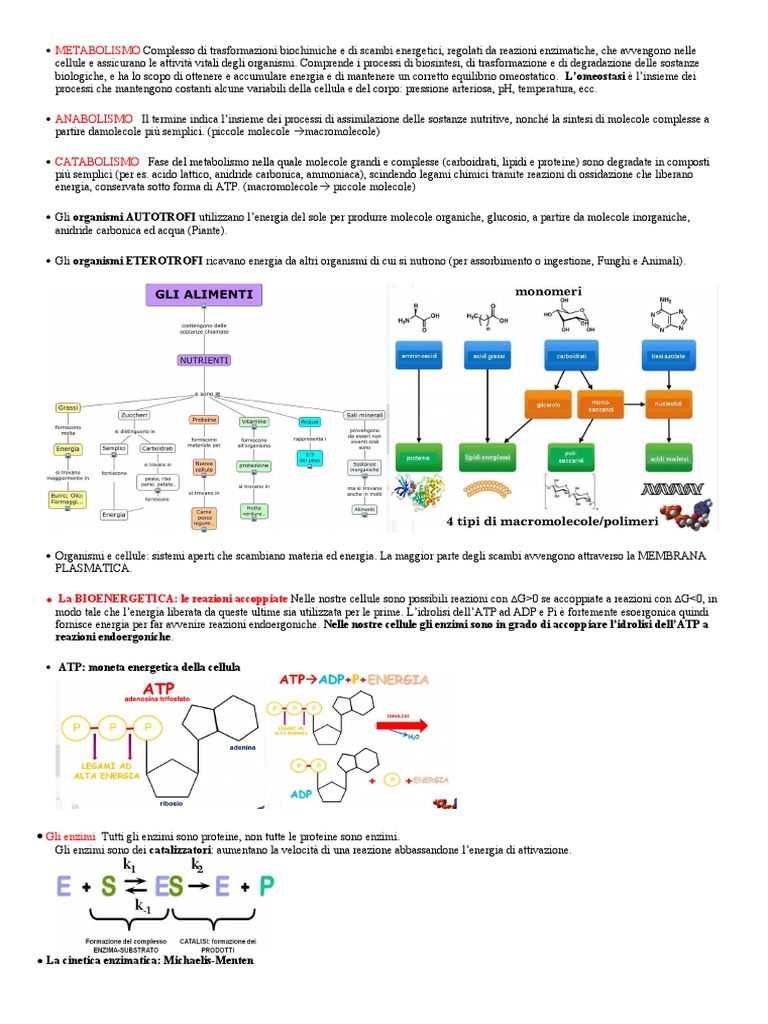 Biochimica Schemi | PDF