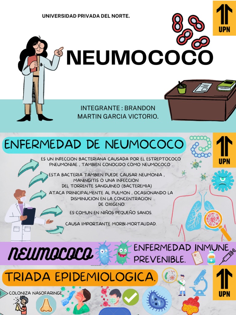 La enfermedad de neumococo: causas, síntomas, prevención y vacunación ...