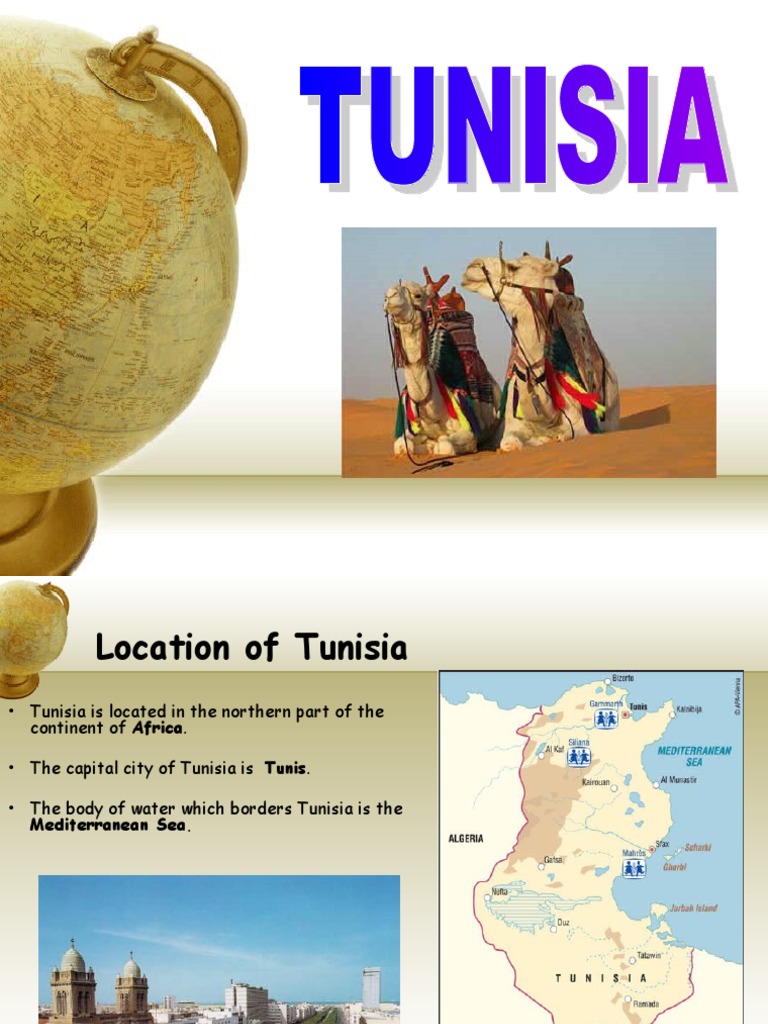 Tunisia | PDF | Tunisia | Desert
