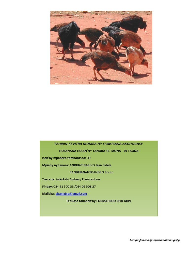 Fisy Teknika Fiompiana Akoho Gasy 1 | PDF