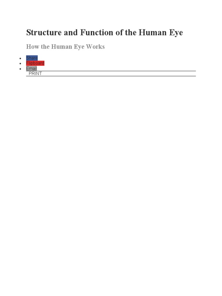 Structure and Function of The Human Eye | PDF | Eye | Cornea