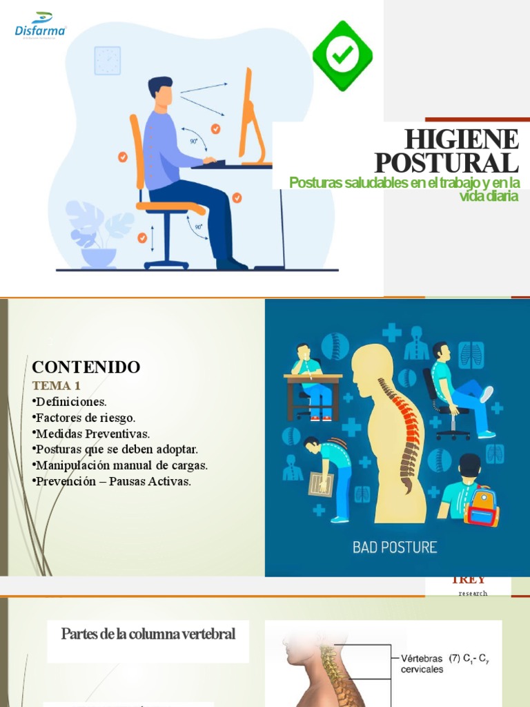 Higiene Postural | PDF | Dolor lumbar | La columna vertebral