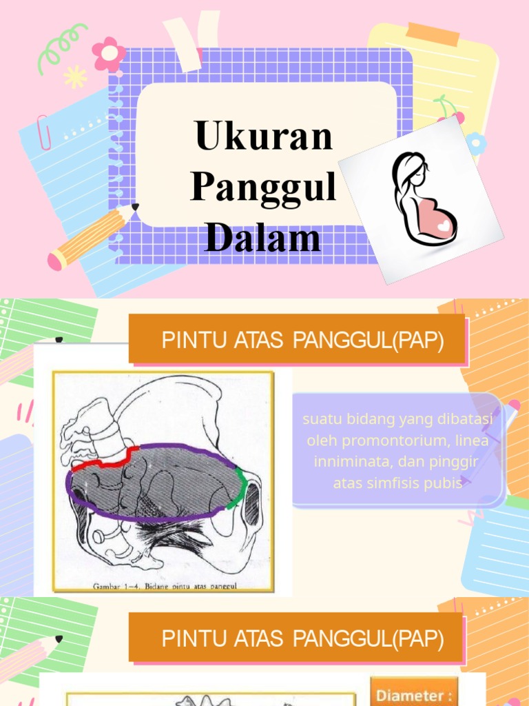 Ukuran Panggul Dalam | PDF