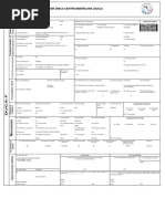 Formato Duca Excel | PDF | aduana | Relaciones internacionales