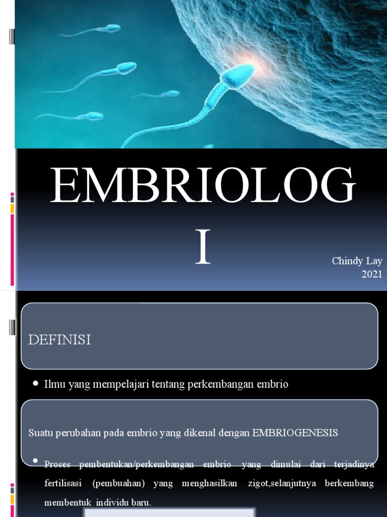 Embriologi Fisiologis Chindy Lay | PDF
