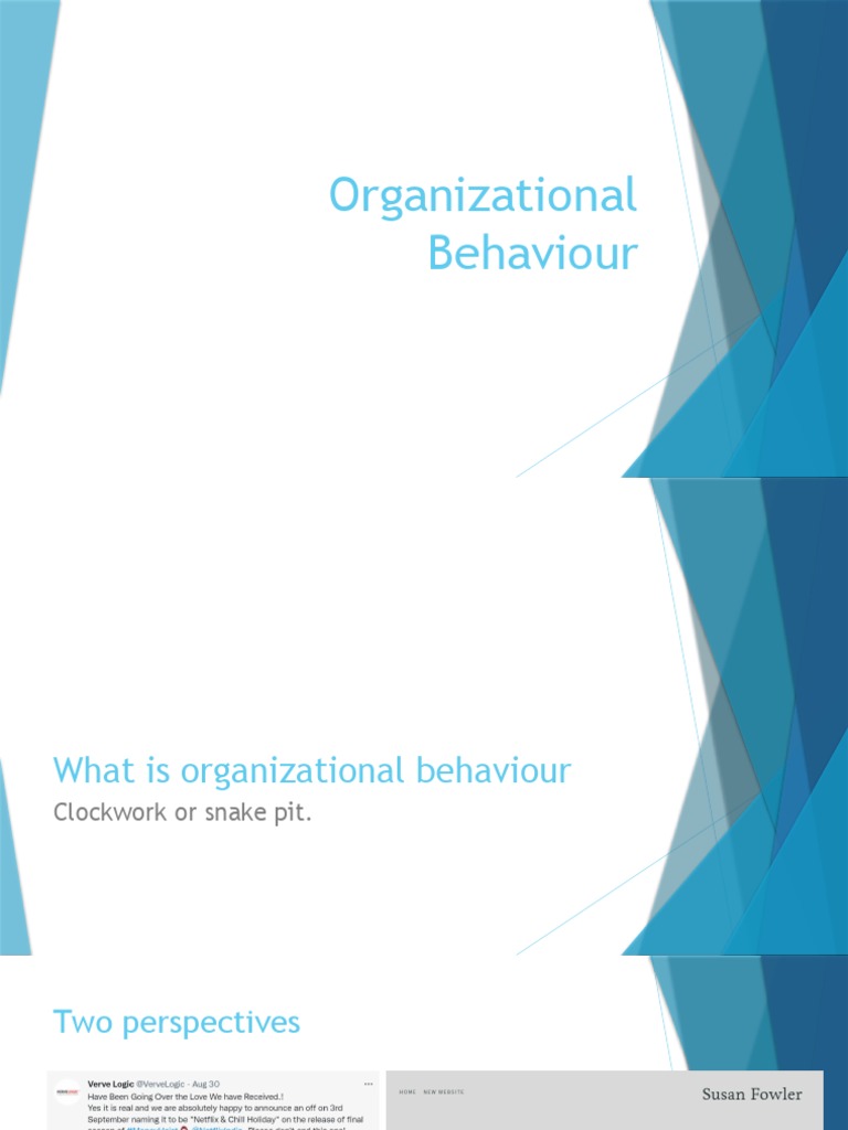 Organizational Behaviour Chapter 1 | PDF | Organizational Behavior ...