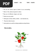 Carrots | PDF | Carrot | Agriculture