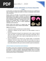 Clasificación de Seibert Los Defectos Del Reborde Alveolar | PDF