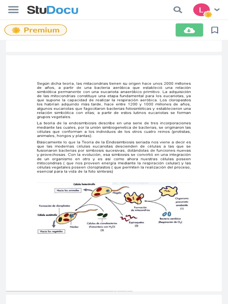 Reporte Escrito de Teoría Endosimbiótica. CSM Word - Actividad S2 ...