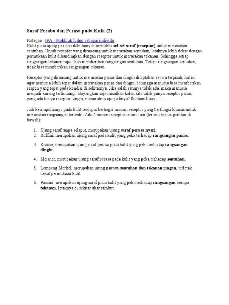 Saraf Peraba Dan Perasa Pada Kulit | PDF | Pengembangan Diri | Sains ...