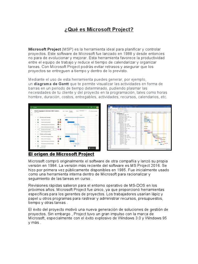 Qué Es Microsoft Project | Descargar gratis PDF | Microsoft | Software