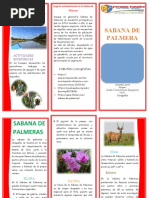 Sabana Húmeda Con Palmeras (Pampas Del Heath) | PDF | Deforestación ...