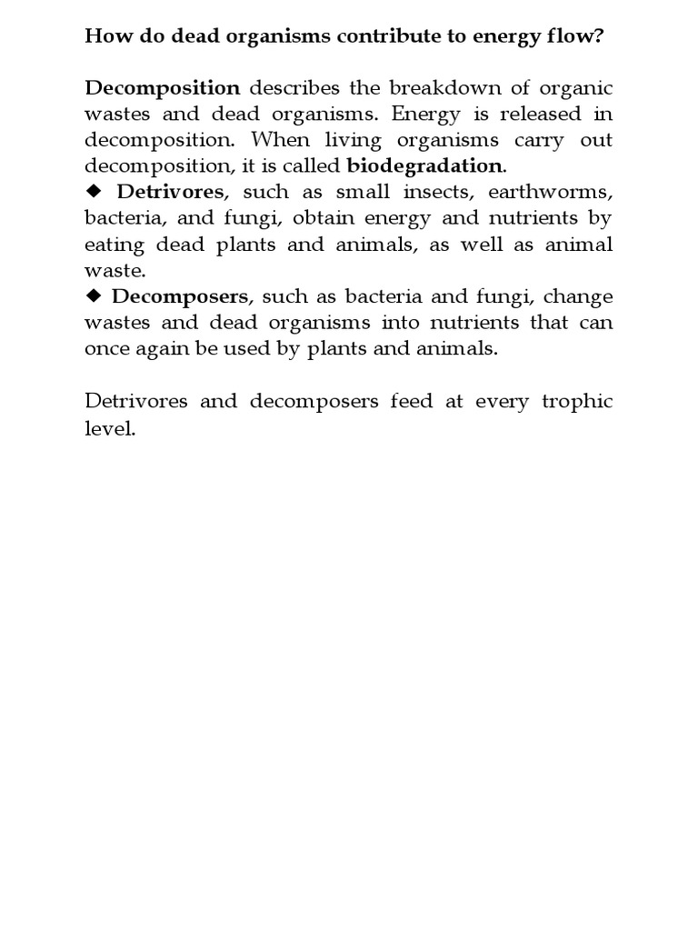 How Do Dead Organisms Contribute To Energy Flow | PDF