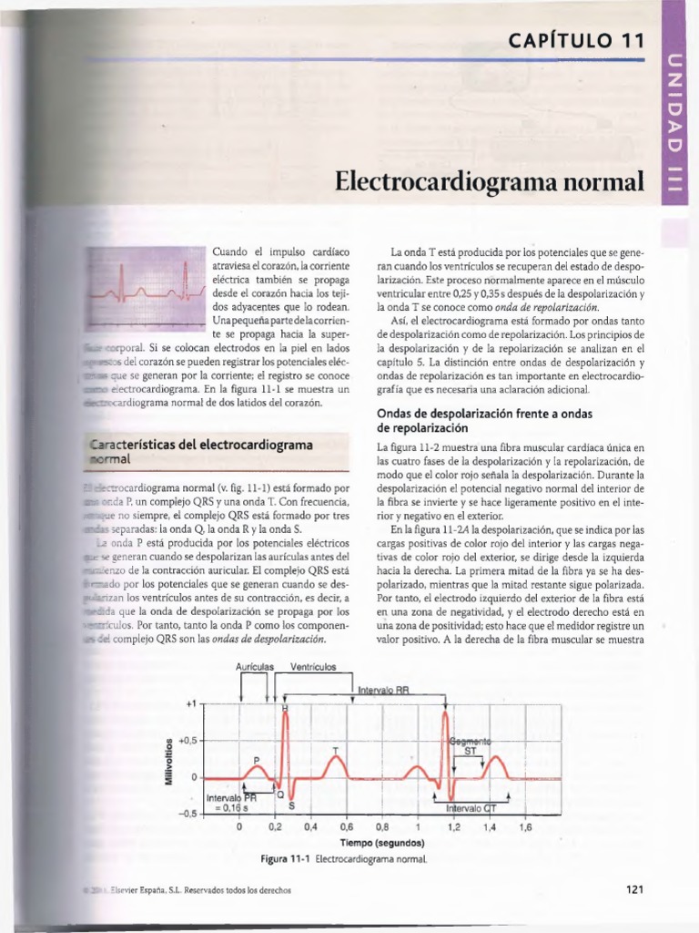 Electrocardiograma Normal | PDF | Electrocardiografia | Sistema cardiovascular