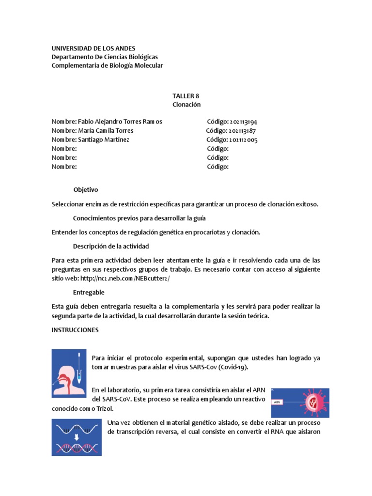 Taller Clonaje | PDF | Adn | Plásmido