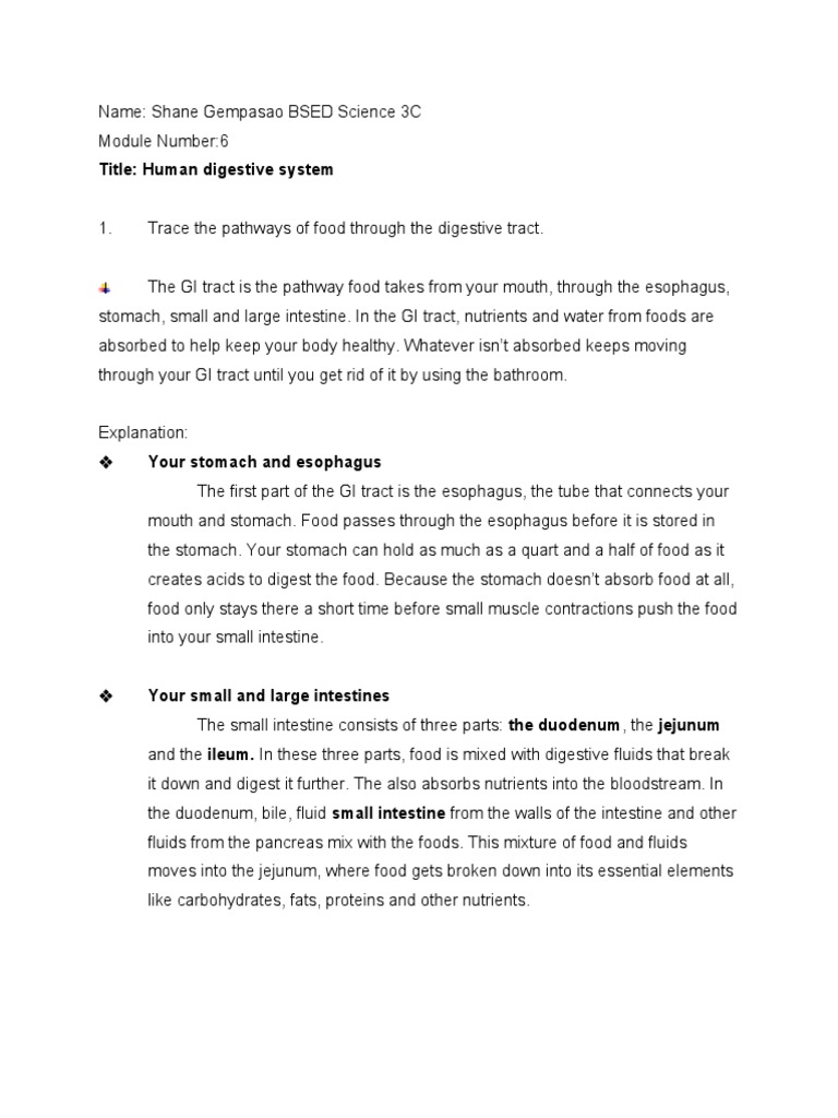 Module 6 Digestive System | Download Free PDF | Gastrointestinal Tract ...