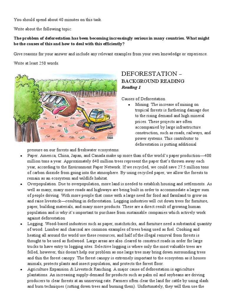 Deforestation: - Background Reading | PDF | Deforestation | Forests