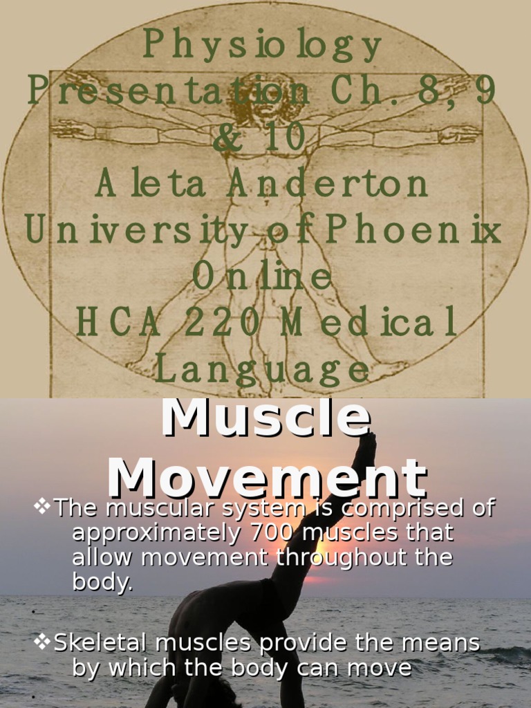 Muscle Movement and Nerve Transmission | PDF