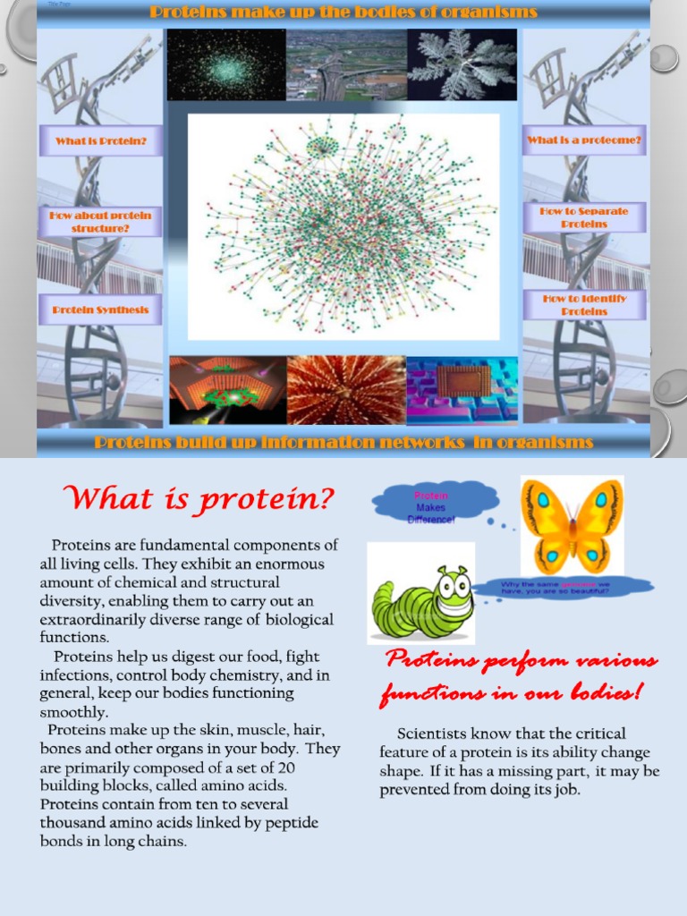 Proteomics Full Lectures Pdf High Performance Liquid Chromatography