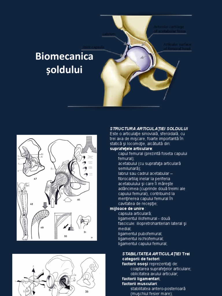 Biomecanica Soldului | PDF