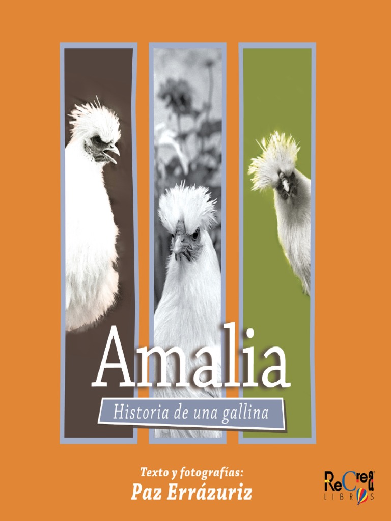 Amalia: Historia de una gallina | PDF