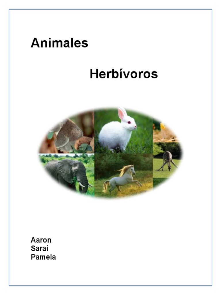Animales Herbivoros | PDF | Herbívoro | Boca