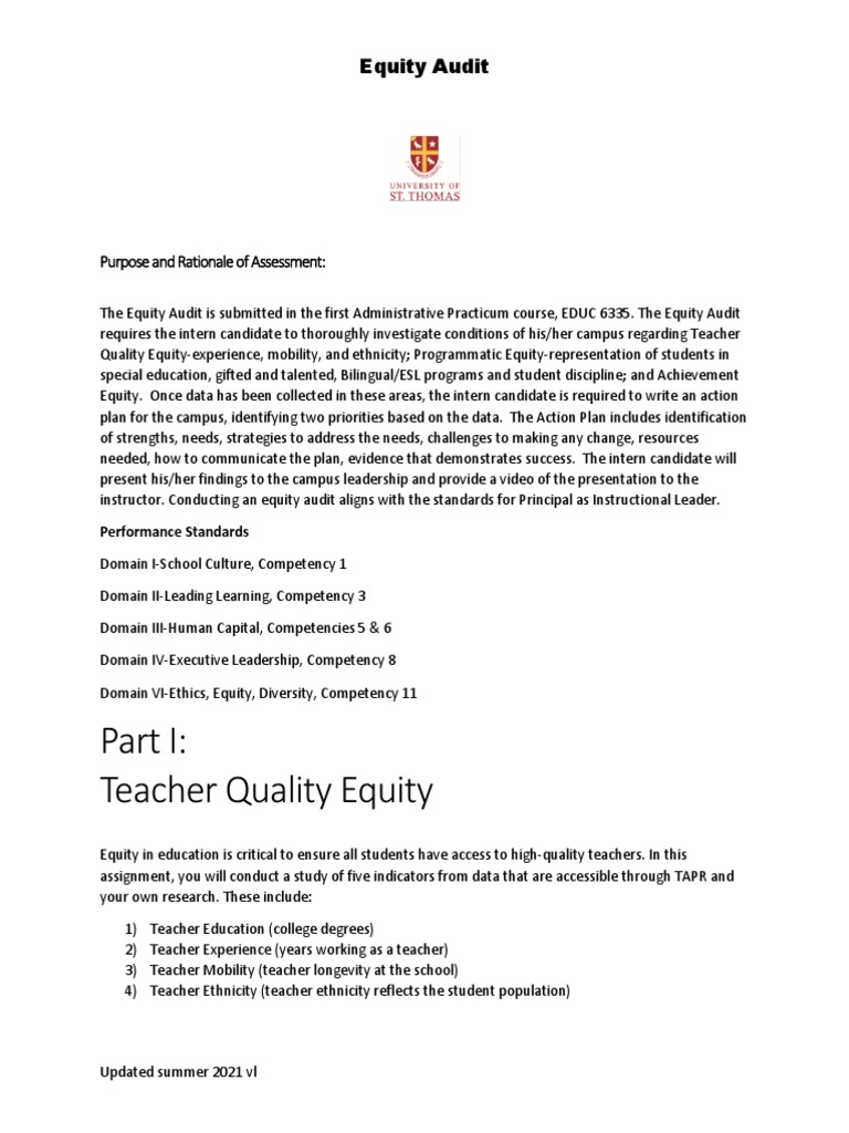 Equity Audit Document | PDF