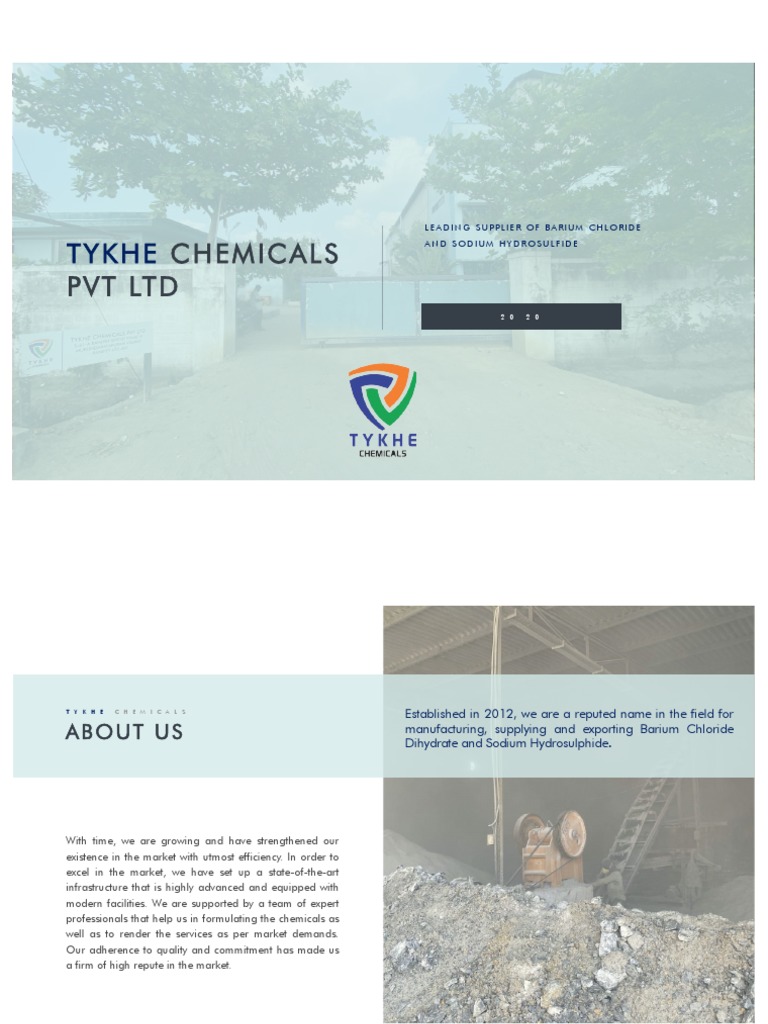 Tykhe Profile v1.1 (Optimized) | PDF | Sodium Hydroxide | Supply Chain
