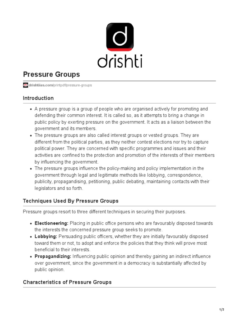 Pressure Groups | PDF | Advocacy Group | Policy