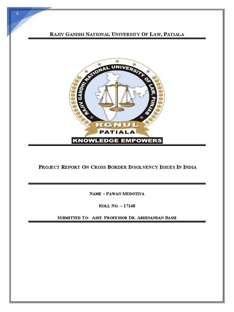Project Report | PDF | Bankruptcy | Insolvency