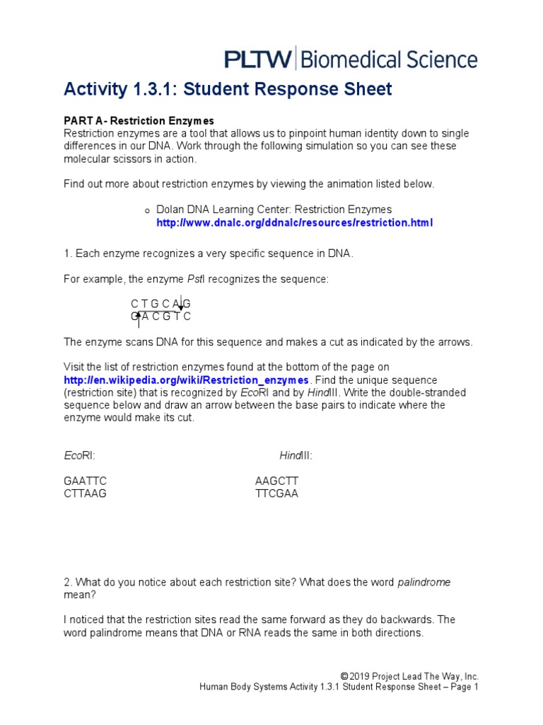 Activity 1.3.1: Student Response Sheet: PART A-Restriction Enzymes ...