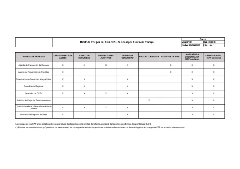 Matriz de EPP Por Puesto de Trabajo | PDF