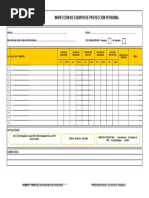 Registro de Inspeccion de Epps | PDF