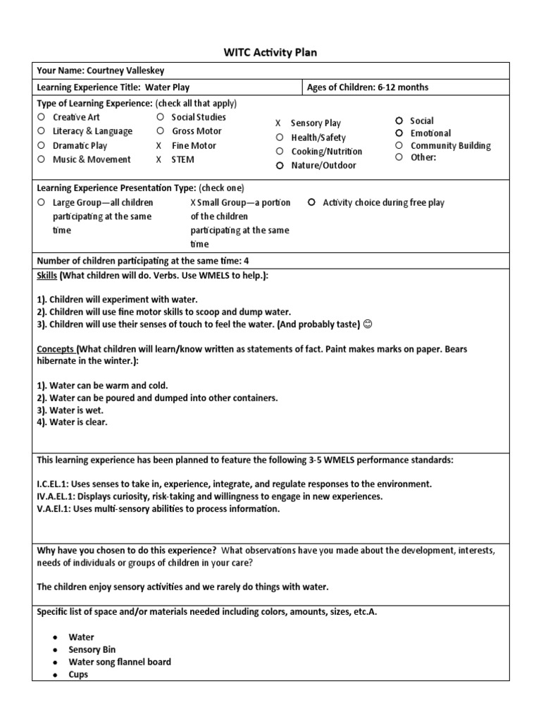 Advanced Practicum Free Choice Activity Plan 1 | PDF | Experience ...
