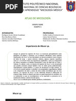 D.E. 4 - Técnica de La Gota de Miles y Misra | PDF | Unidad de formación de Colonia | Microbiología