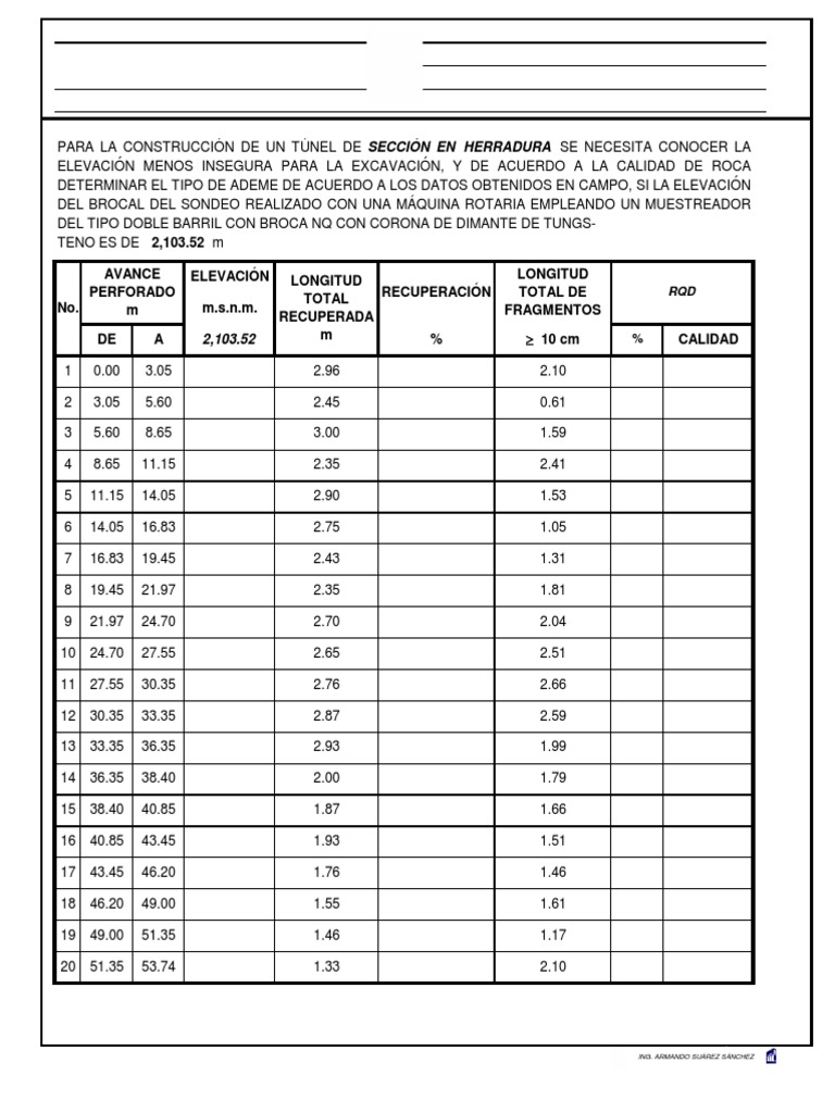 1 Ejemplo Formato Del Rqd-marzo-2022 | PDF