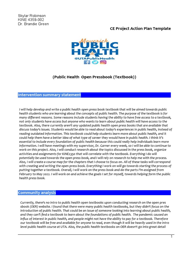 CE Project Action Plan Template: Intervention Summary Statement | PDF ...