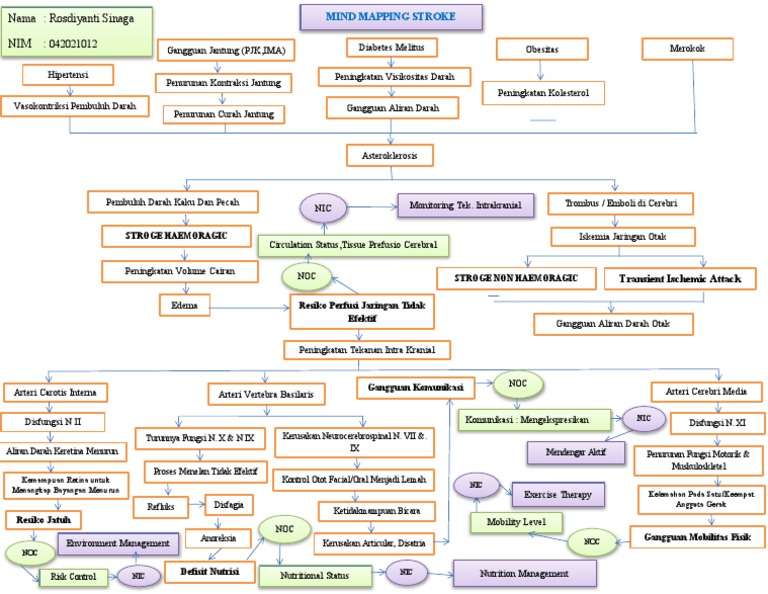 Mapping Stroke | PDF
