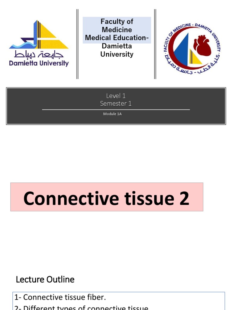 9-Histology Lecture, Structure of The Connective Tissue 2 | PDF ...