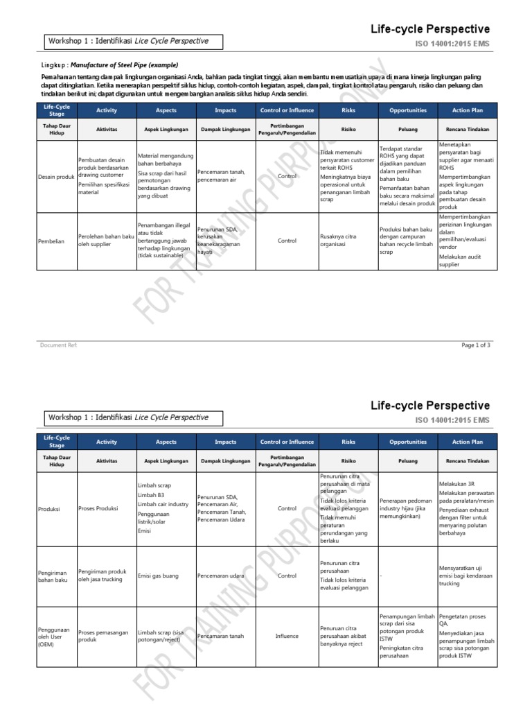 (Template) Life Cycle Perspective | PDF (Template) Life Cycle Perspective | PDF