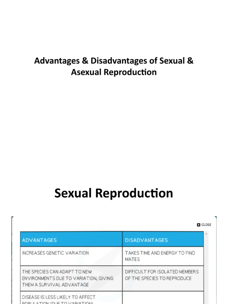 Asexual Reproduction Advantages Disadvantages – DGAM
