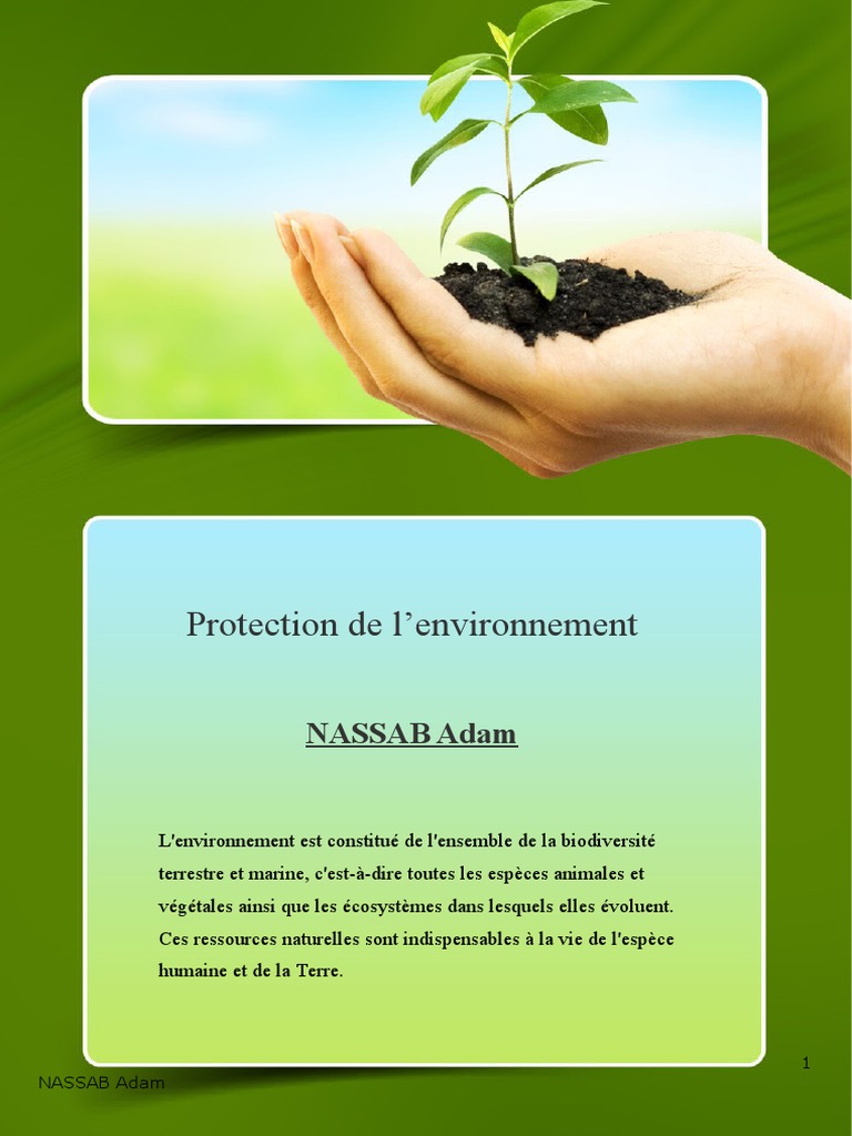 Importance de la Biodiversité et Protection Environnementale | PDF | Forêt | Arbres