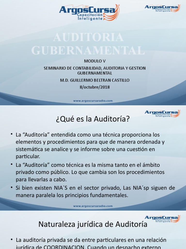 Auditoría Gubernamental: Conceptos Clave | PDF | Auditoría