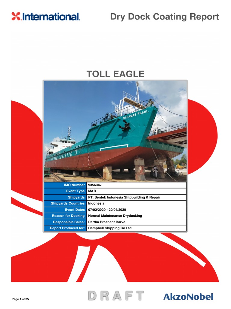 International Paint Docking Report | PDF | Corrosion | Ships