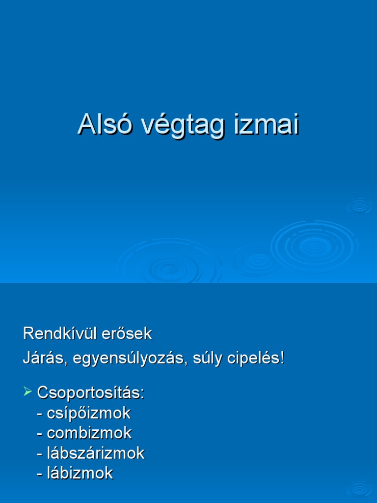 9 Alsó Végtag Izmai | PDF