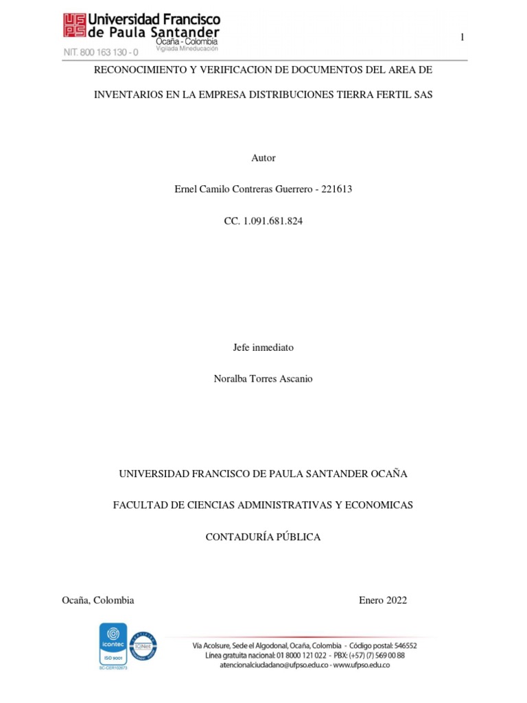Plan de Trabajo - Inf. Final Apa | PDF | Contabilidad | Business