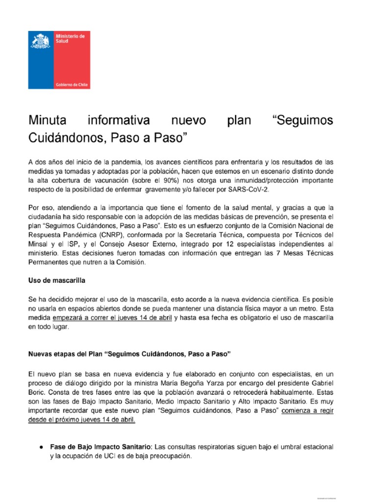 Minuta Informativa Nuevo Plan Paso A Paso | PDF